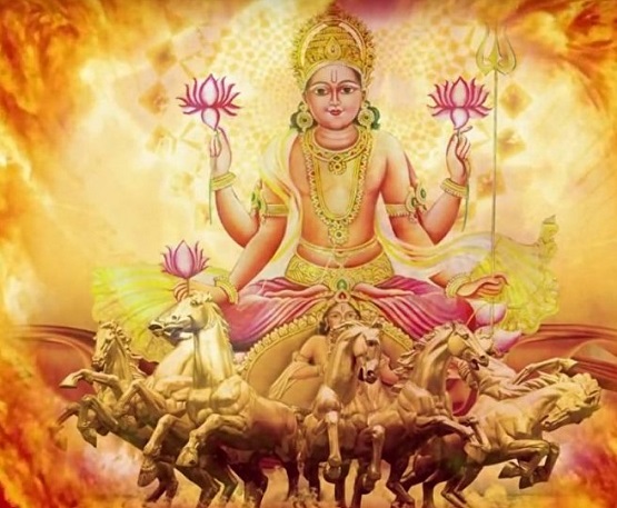 Navagraha Puja | Rahu Ketu Dosham Shanti | Rudra Astro Center